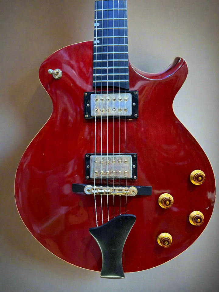 Hollow Body Electric Guitars – Guitar Brothers Online