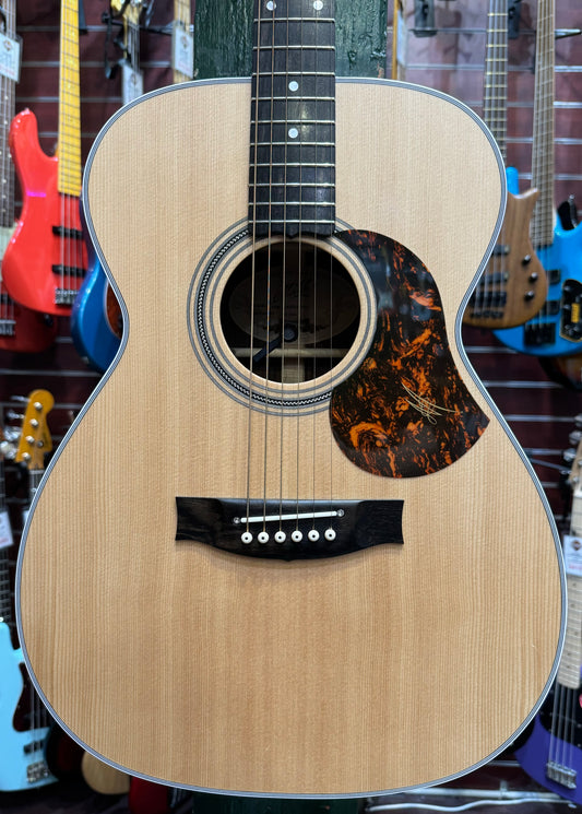 Acoustic Guitar Cases – Guitar Brothers Online