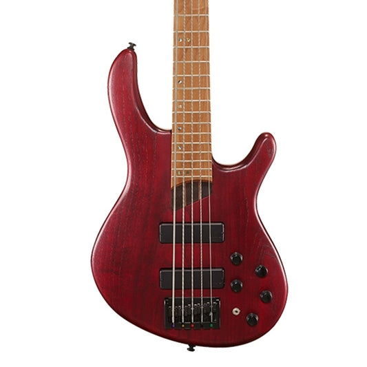 Shop Electric Bass Guitars - Shop Online or In Store | Guitar Brothers ...
