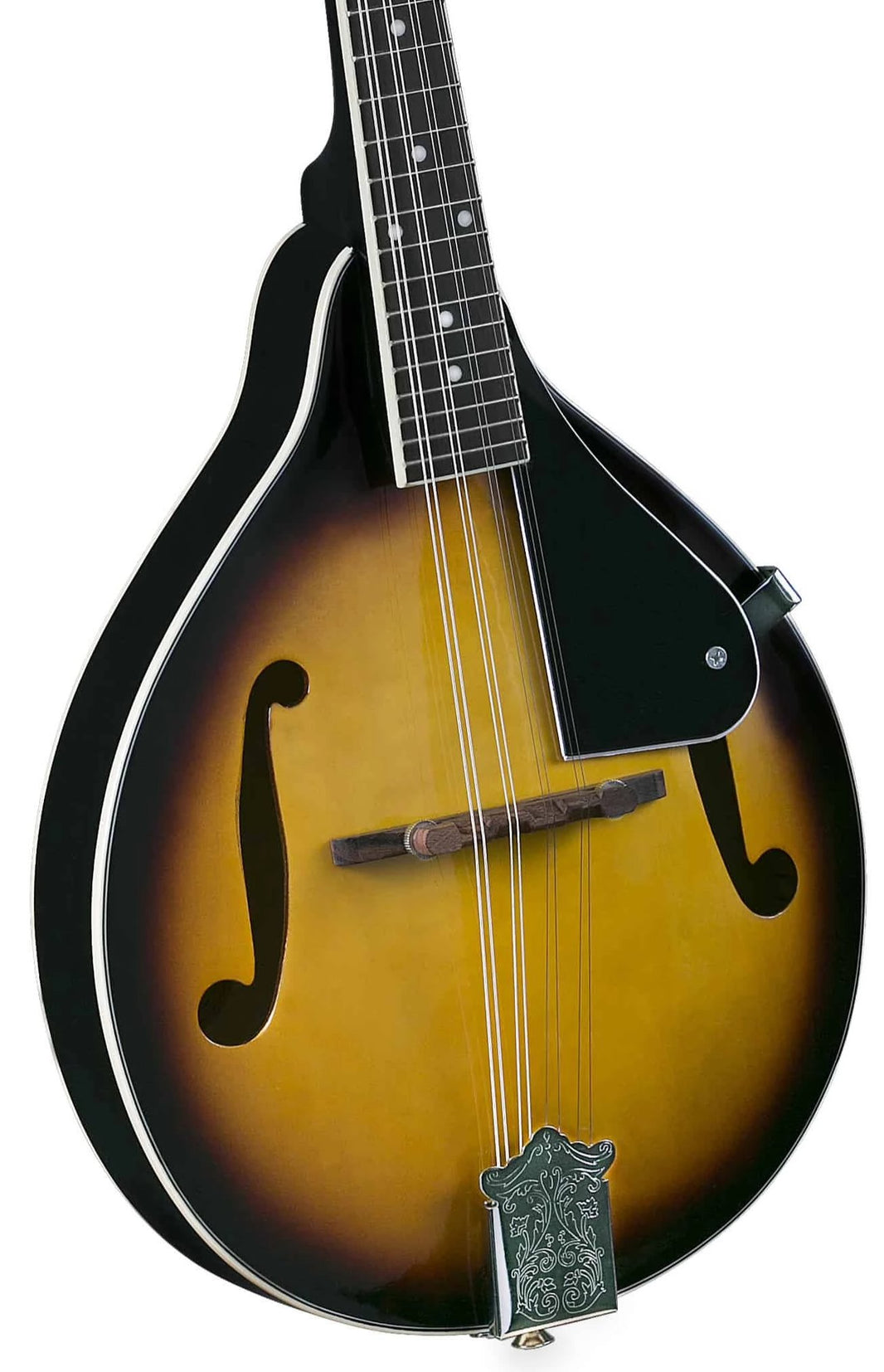 Find the Best Mandolins - Top Guitars & Gear | Guitar Bros