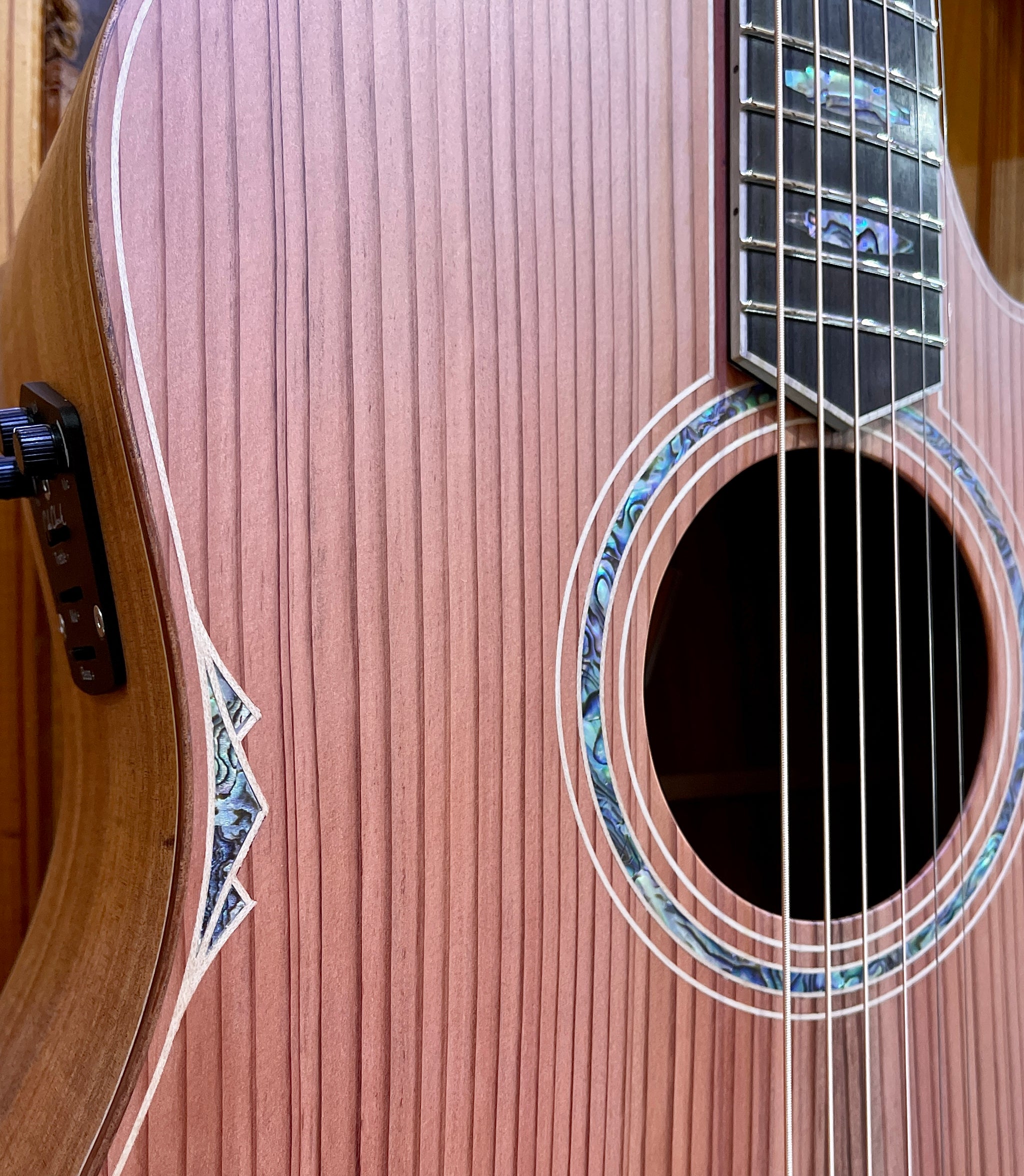 Cole Clark Fat Lady 3EC - Redwood Top Blackwood Back & Sides | Guitar Bros